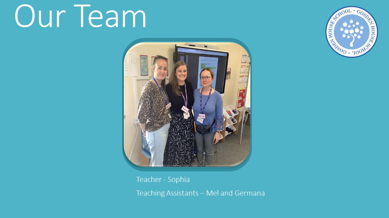 Year 11 - Gosden House School